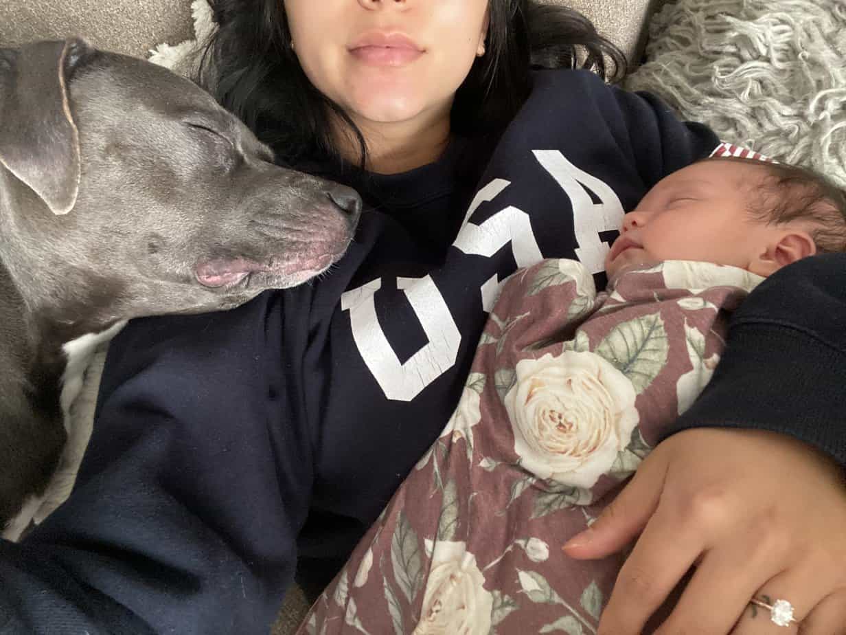 7 Tips To Helping Dogs With Newborn | Lifting Motherhood